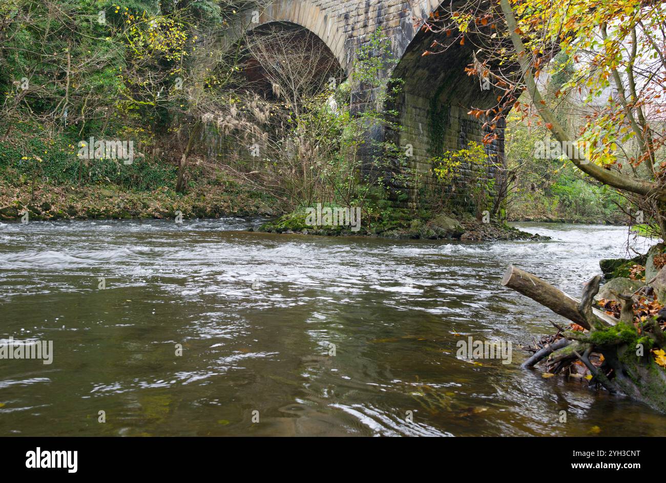 The river Derwent flowing under a railway bridge in Matlock, Derbyshire ...