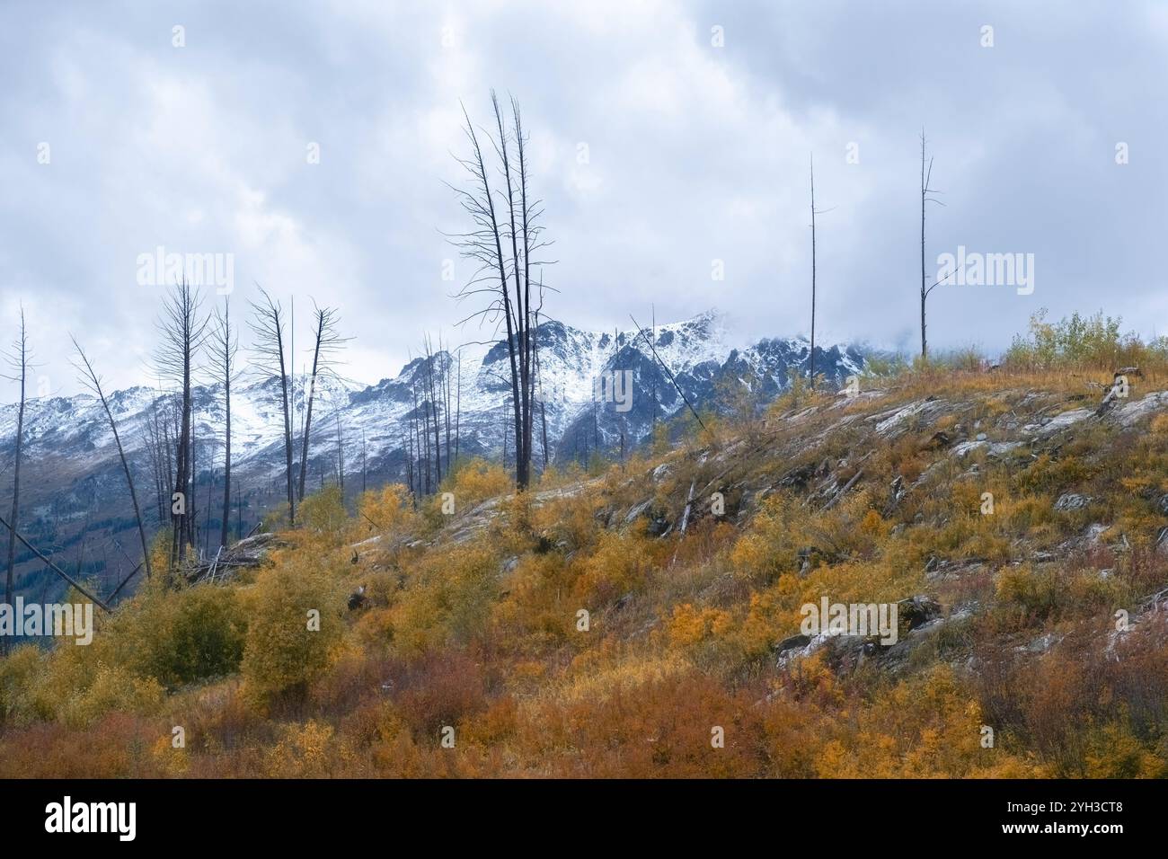 Altai mountains in the colorful autumn period in the East Kazakhstan ...