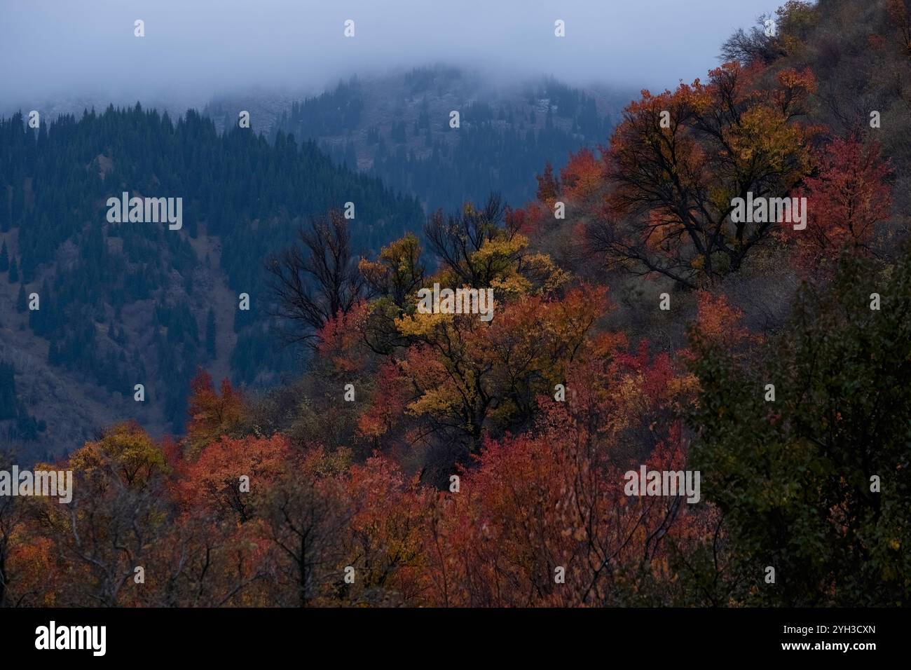Moody scenery hi-res stock photography and images - Alamy