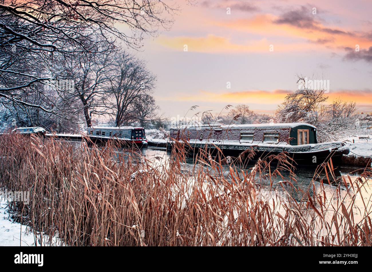River Wey winter snow narrowboats, sunrise over reeds with typical ...