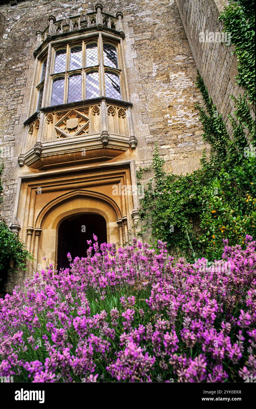 LACOCK ABBEY Oriel window at Lacock Abbey exterior, photographed inside ...