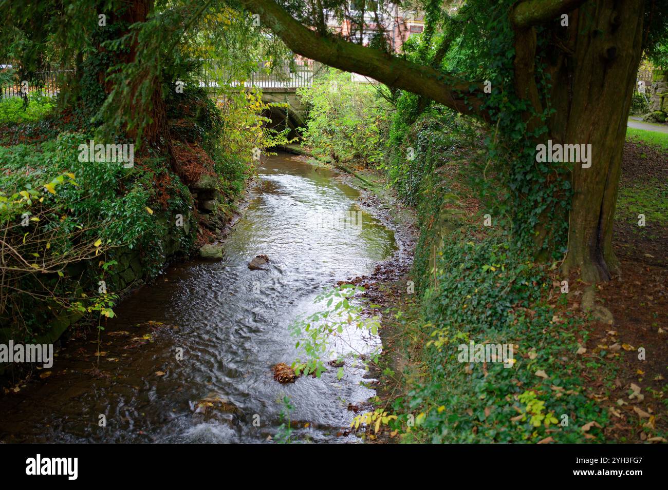 Small shallow village stream example Stock Photo - Alamy