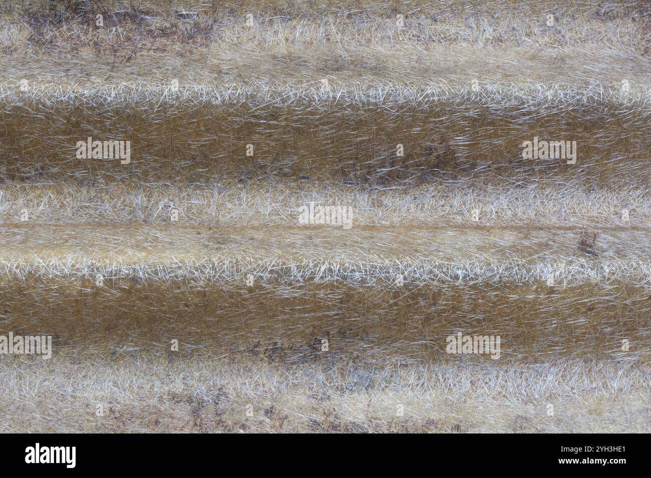 Old plastic texture background hi-res stock photography and images - Alamy