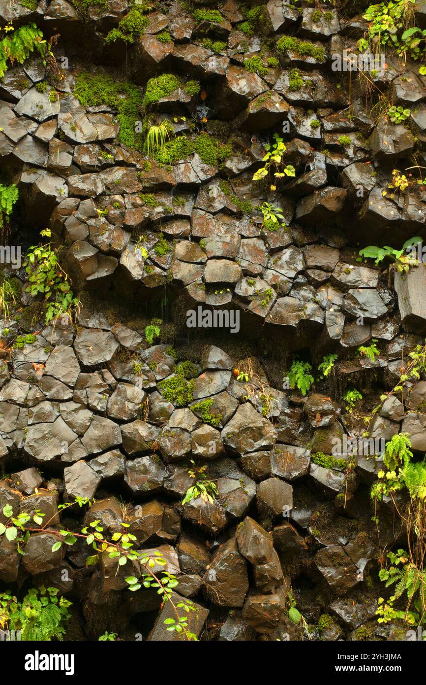 Fracture management hi-res stock photography and images - Alamy