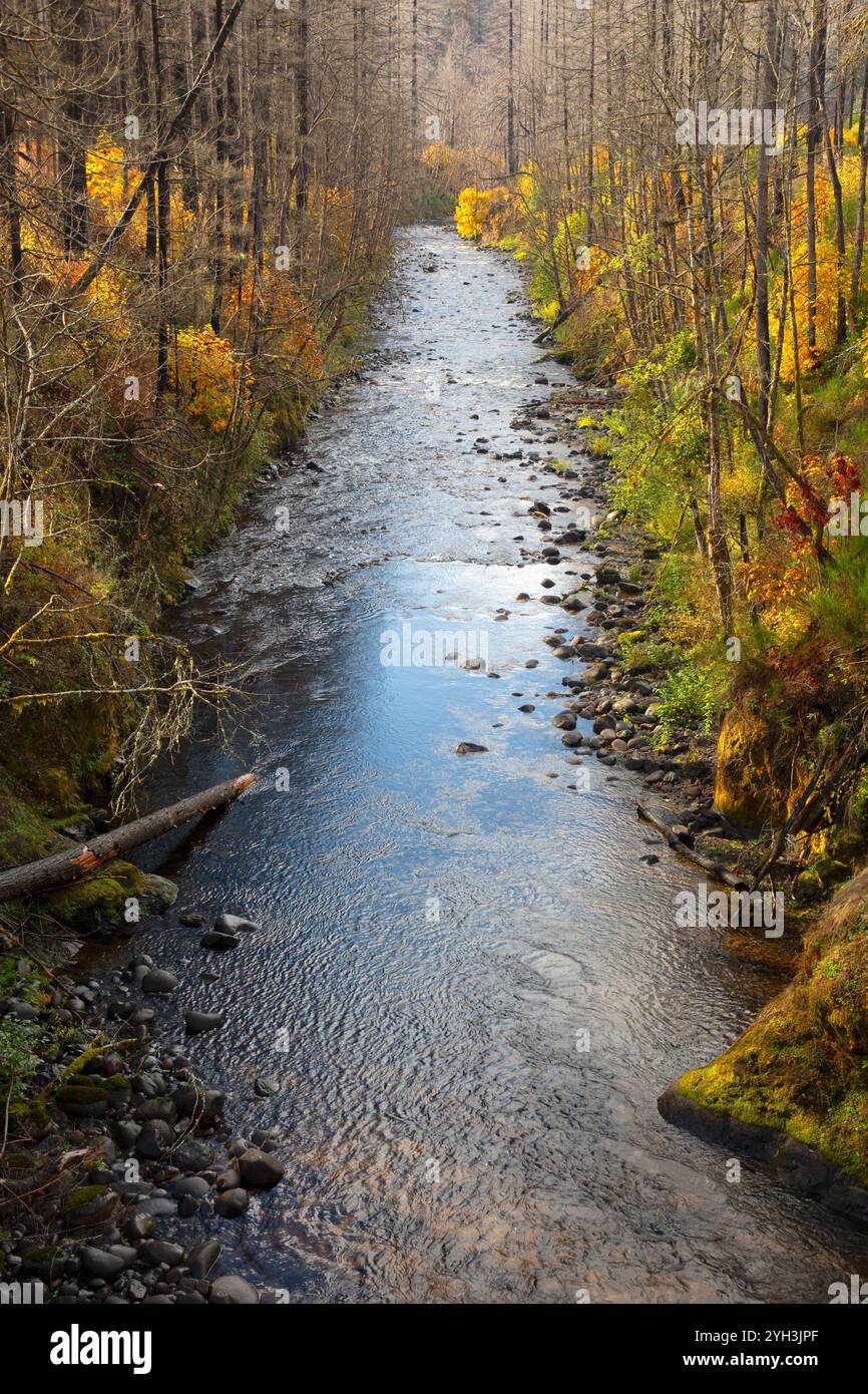 Table Rock Fork Molalla River, Molalla River Corridor Recreation Area ...