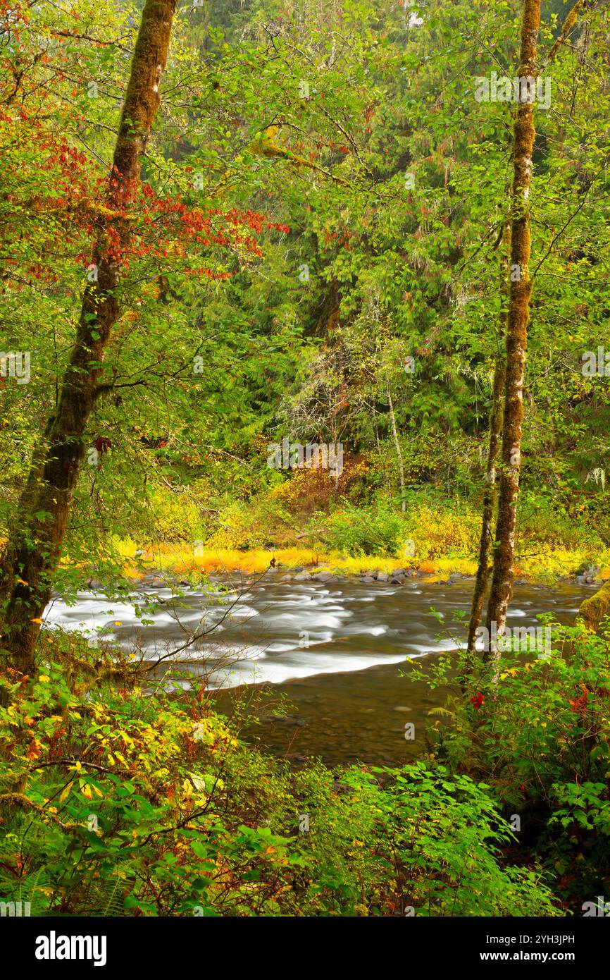 Molalla River, Molalla River Corridor Recreation Area, Salem District ...