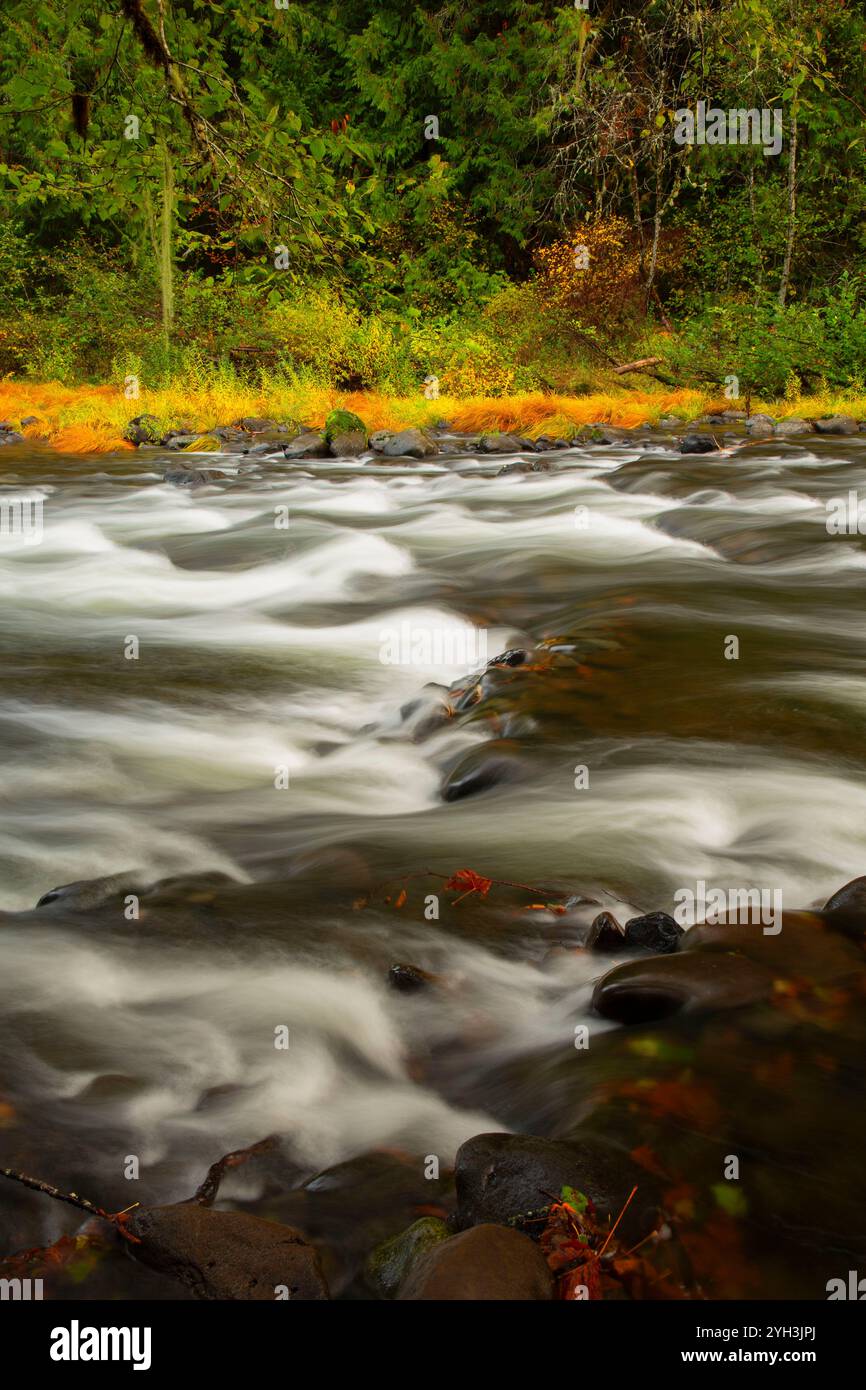 Molalla River, Molalla River Corridor Recreation Area, Salem District ...