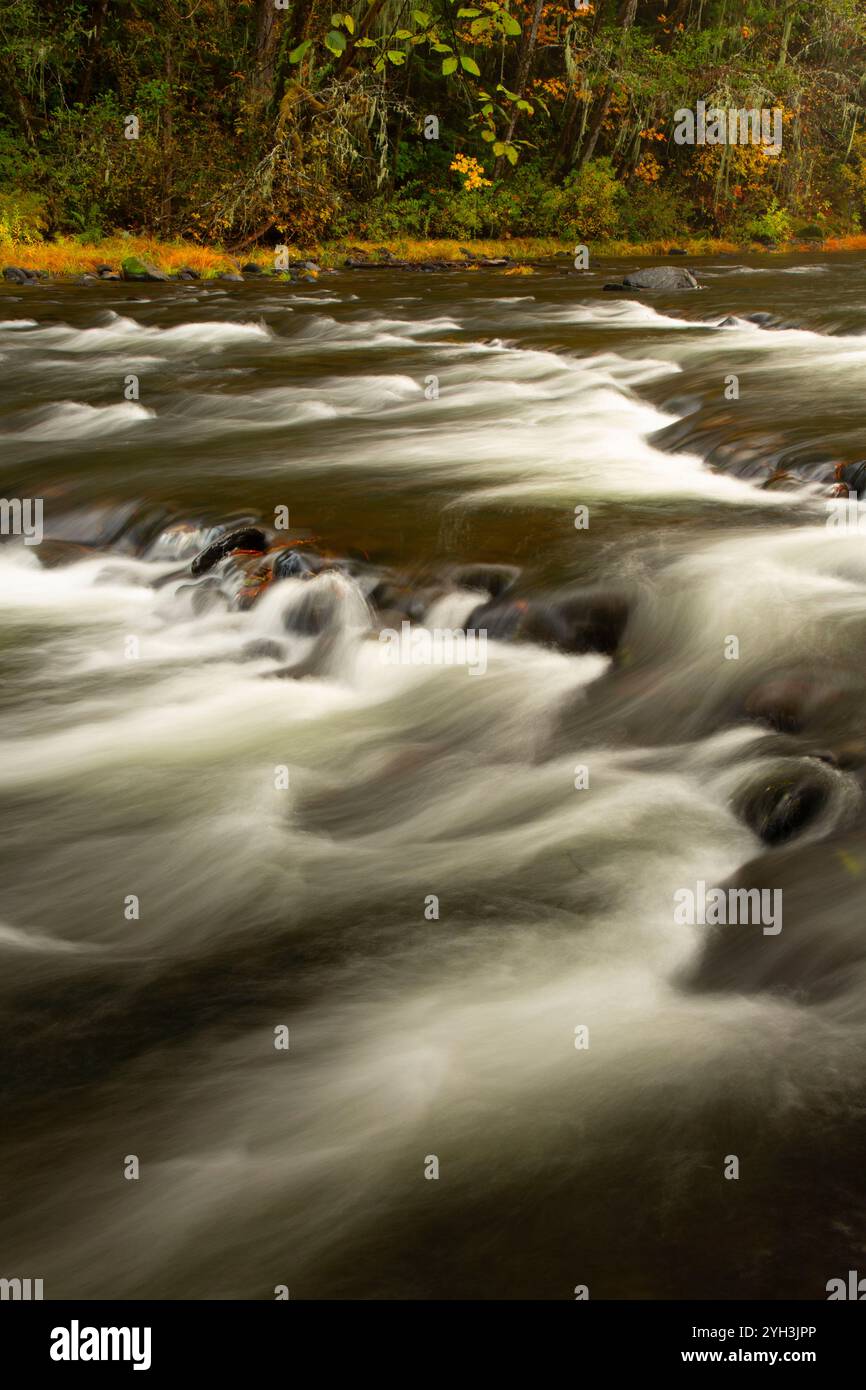 Molalla River, Molalla River Corridor Recreation Area, Salem District ...