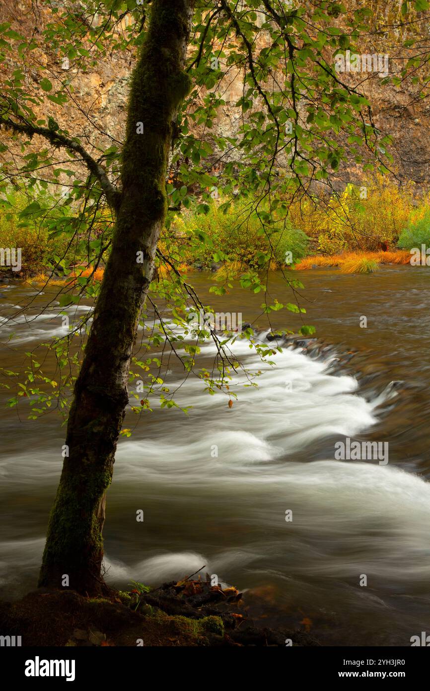 Molalla River, Molalla River Corridor Recreation Area, Salem District ...