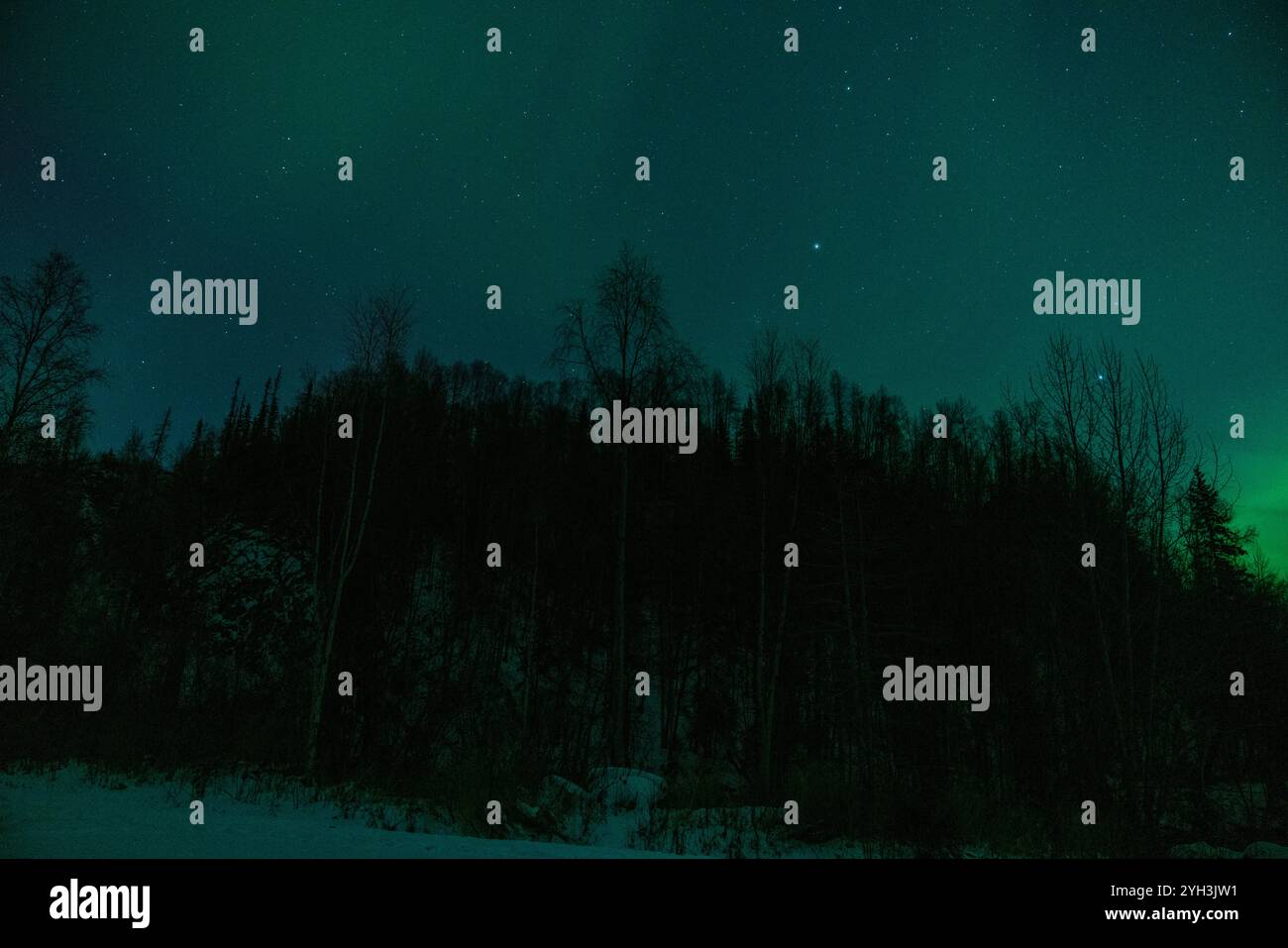 Northern Lights Aurora Borealis illuminate the sky in Alaska, United ...