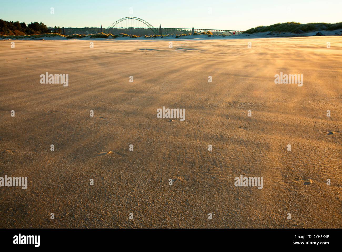 Beach at North Jetty, Yaquina Bay State Park, Newport, Oregon Stock ...