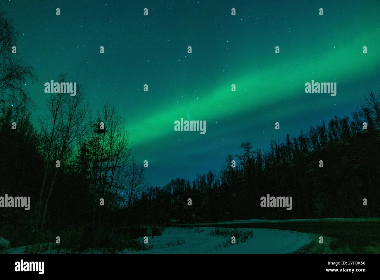 Northern Lights Aurora Borealis illuminate the sky in Alaska, United ...