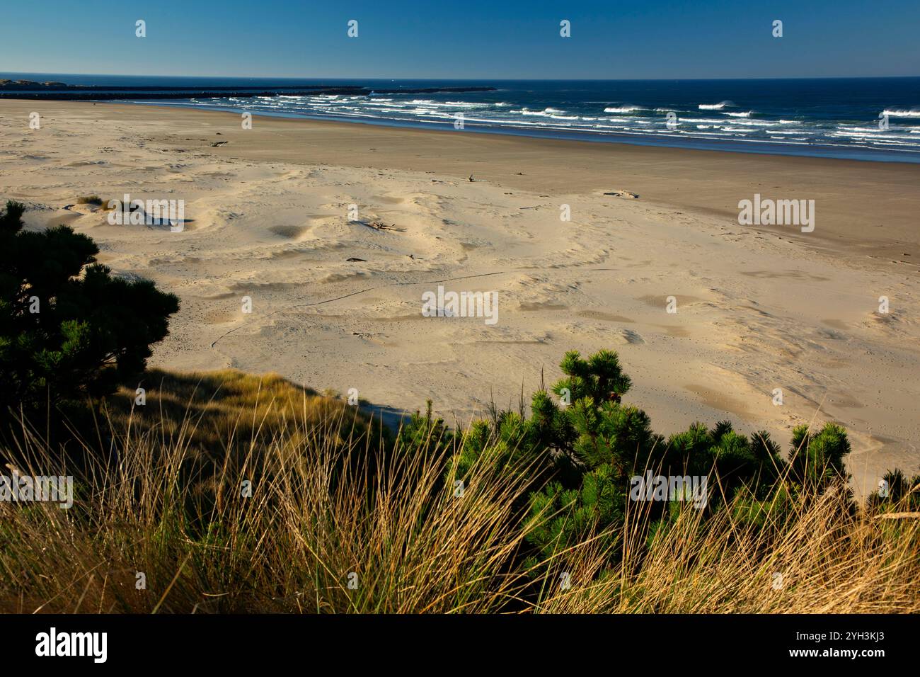 Beach at North Jetty, Yaquina Bay State Park, Newport, Oregon Stock ...