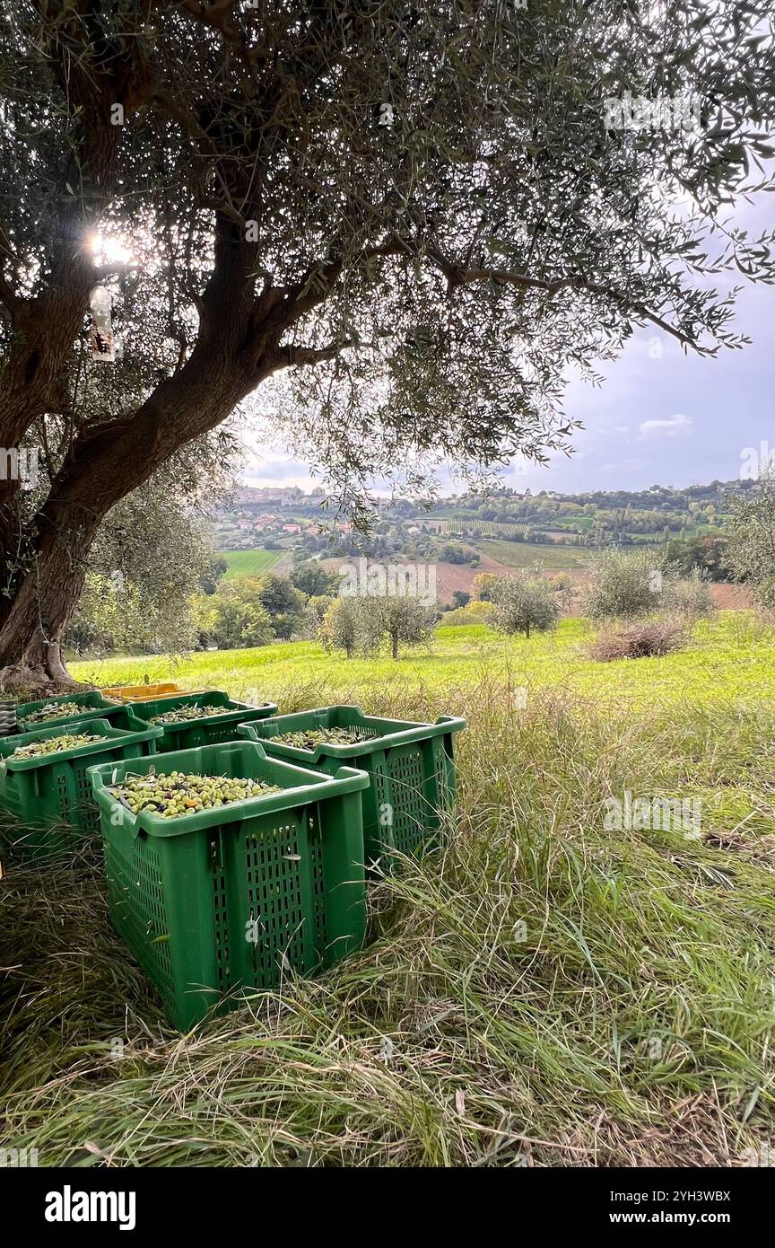 View fields hills tuscany smartphone stock photos and images - Alamy