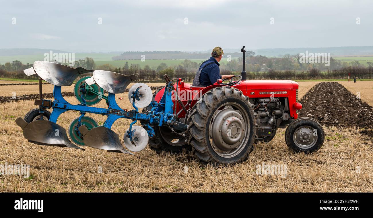 Vintage Massey Ferguson tractor ploughing furrows, East Lothian ...