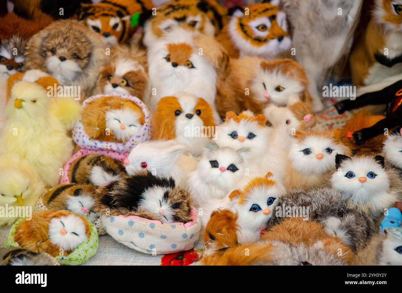 Designer toy series hi-res stock photography and images - Alamy