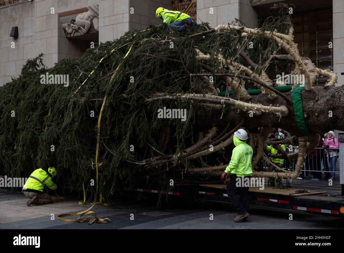 Workers unload the Rockefeller Center Christmas tree at Rockefeller ...