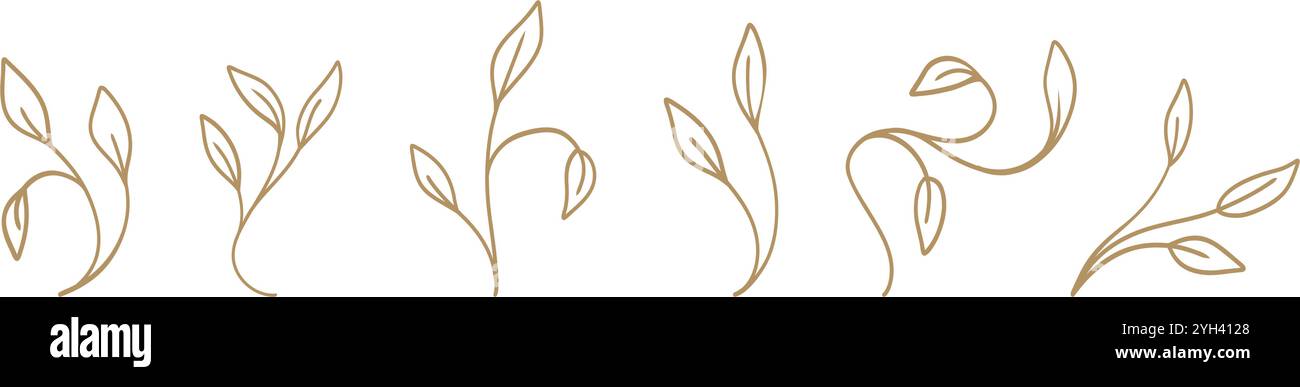 Delicate botanical leaf designs on a white background. Vector ...