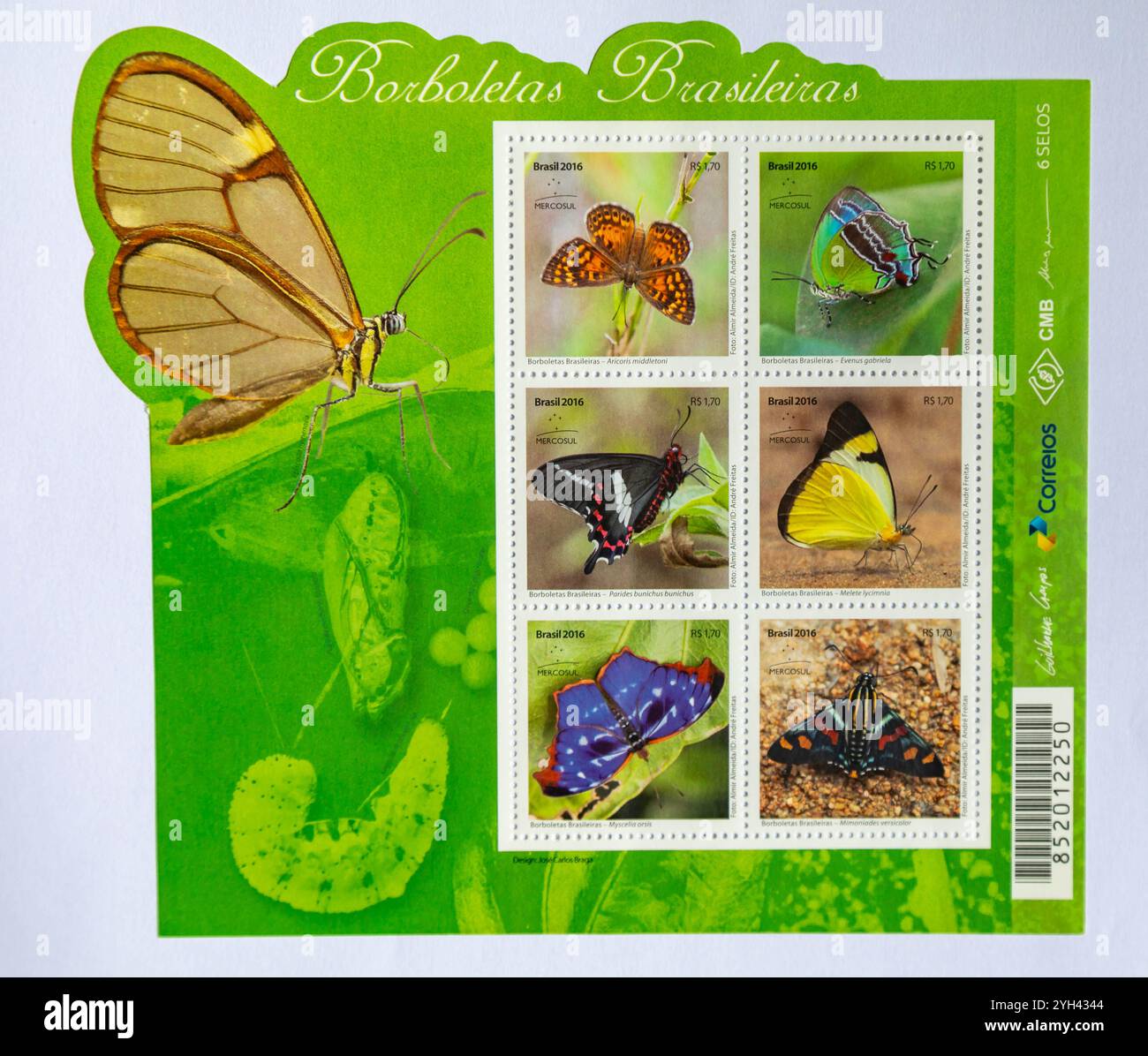 Brazilian Post Office Postage Stamp Collection. Rare and Old Vintage ...