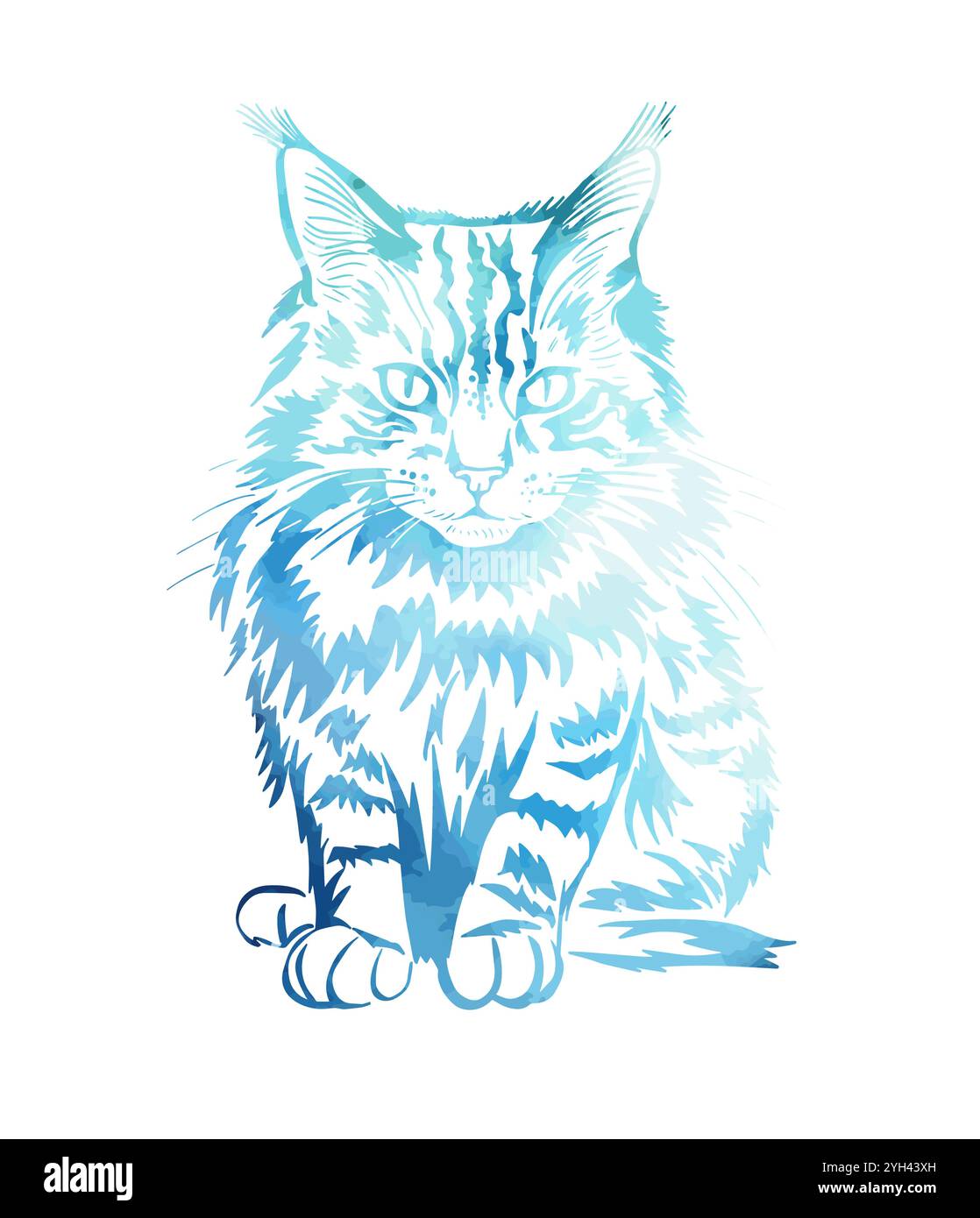 Beautiful blue cat. Maine Coon cat. hand drawing. Not AI, Vector ...