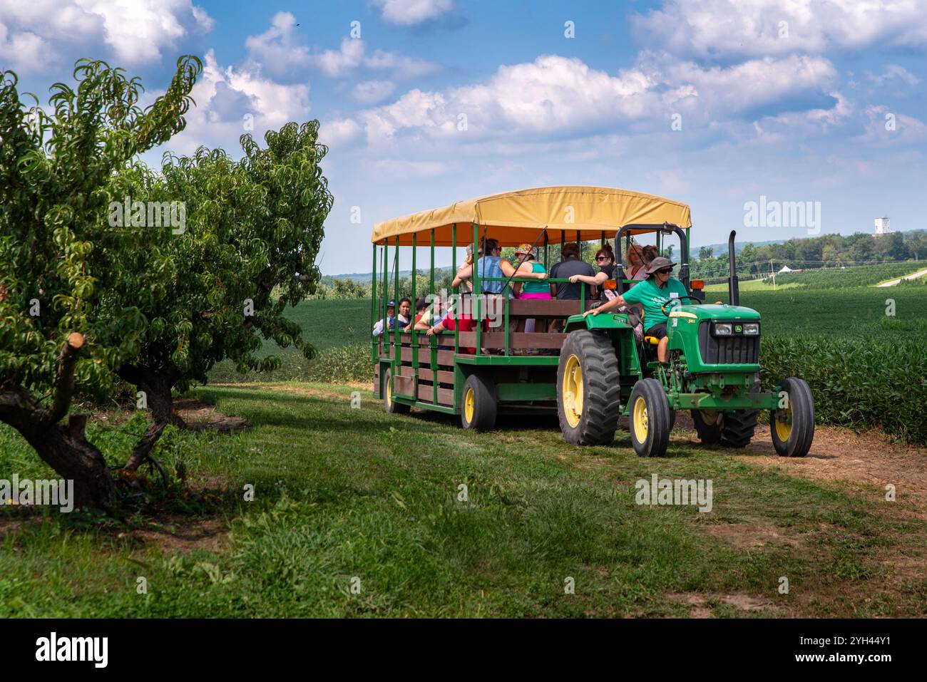 Belleville, IL—Aug 3, 2024: A green John Deere tractor pulls a hayride ...