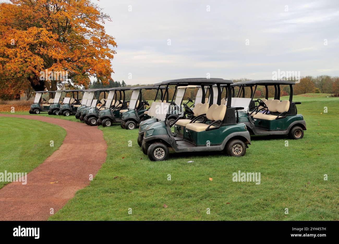 Golf buggies at Heythrop Park golf course, Oxfordshire Stock Photo - Alamy