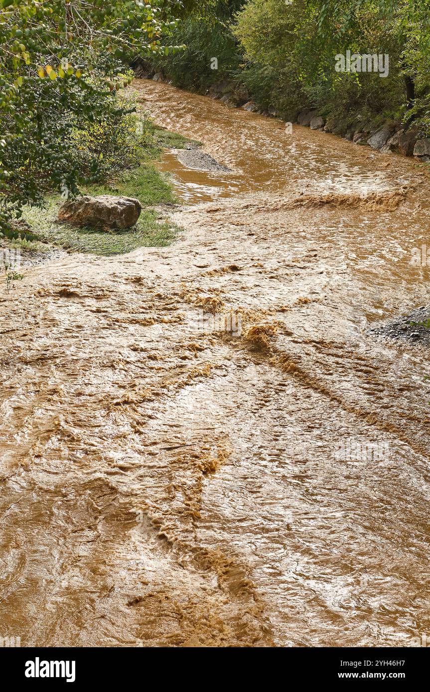 Flood debris and muddy water flow through a stream, showcasing the ...