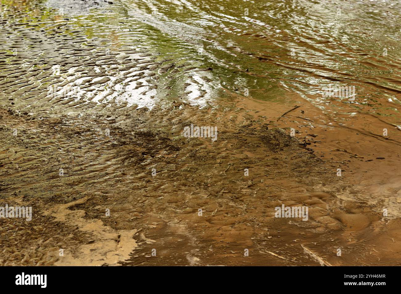 A riverbank covered in mud and debris after intense rains, highlighting ...