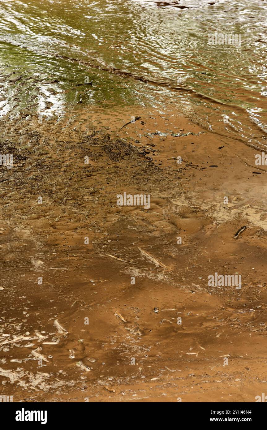 The image shows a muddy stream with debris and vegetation washed up on ...