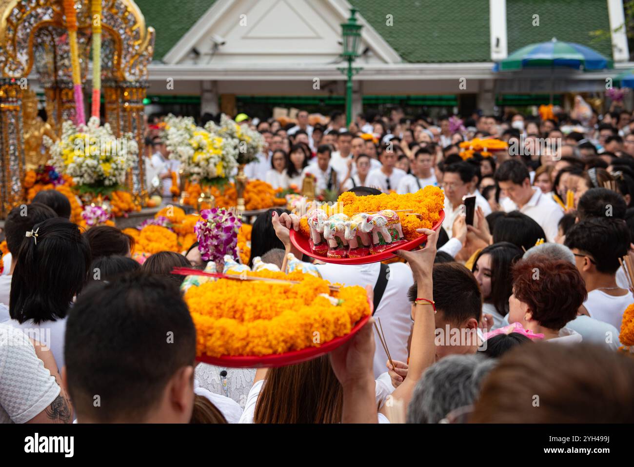 Bangkok, Thailand. 09th Nov, 2024. BANGKOK, THAILAND November 9, 2024 ...