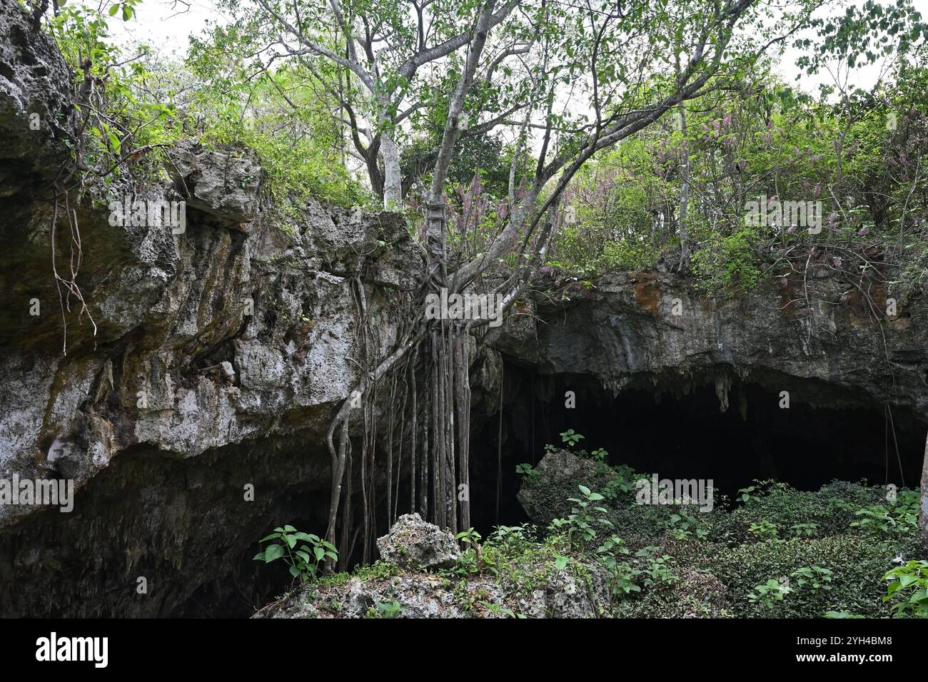 The entrance to the unique Saturno Cave in the province of Matanzas in ...