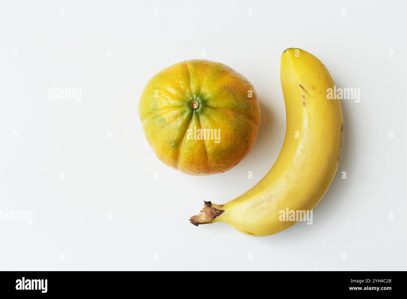 Brazilian tropical fruits on horizontal white background with copy ...