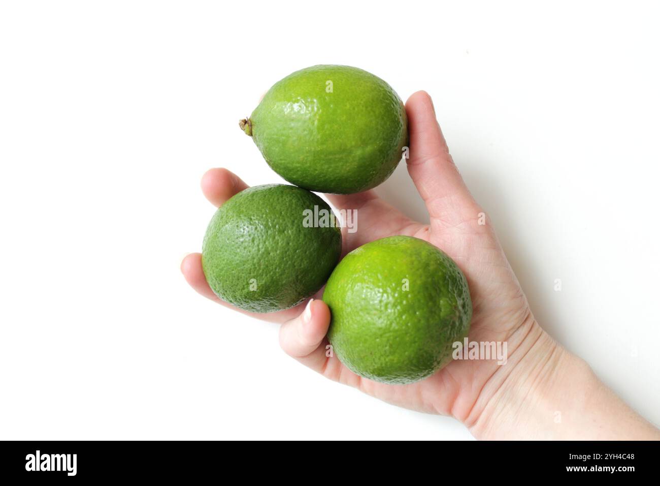 Three limes held by a caucasian human hand. Tahiti lime, green citrus ...
