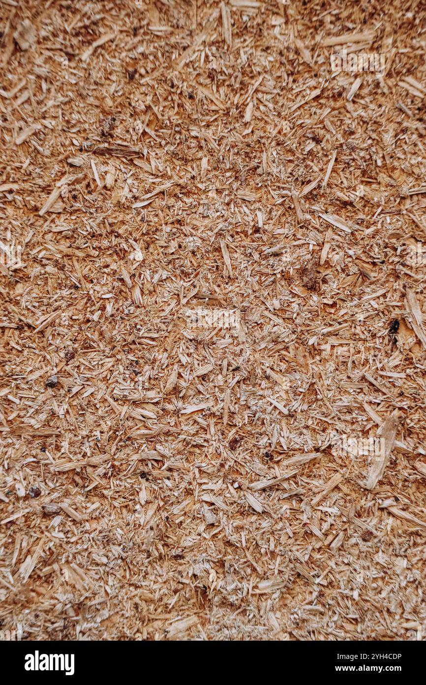 Dry wood chipboard hi-res stock photography and images - Alamy