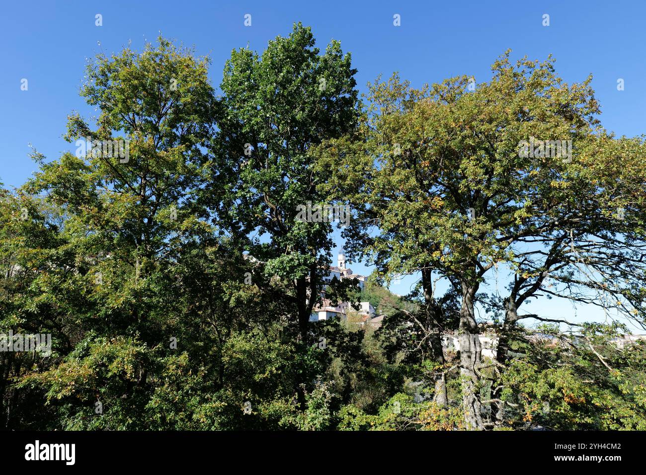 View of Sepino, a village in Molise, Italy Stock Photo - Alamy