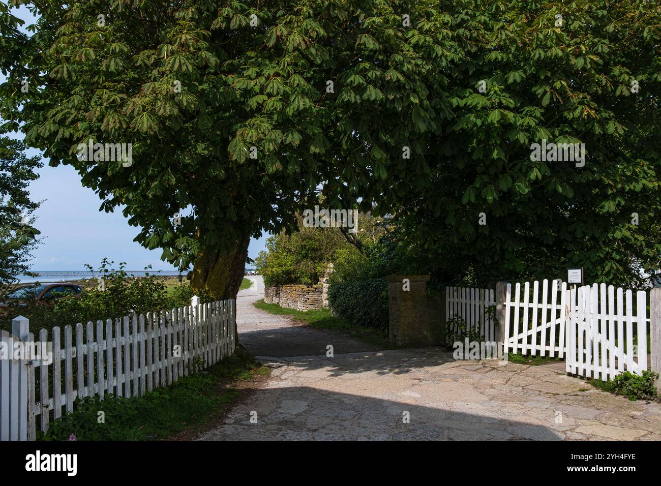 Hiking trail in chestnut hi-res stock photography and images - Alamy