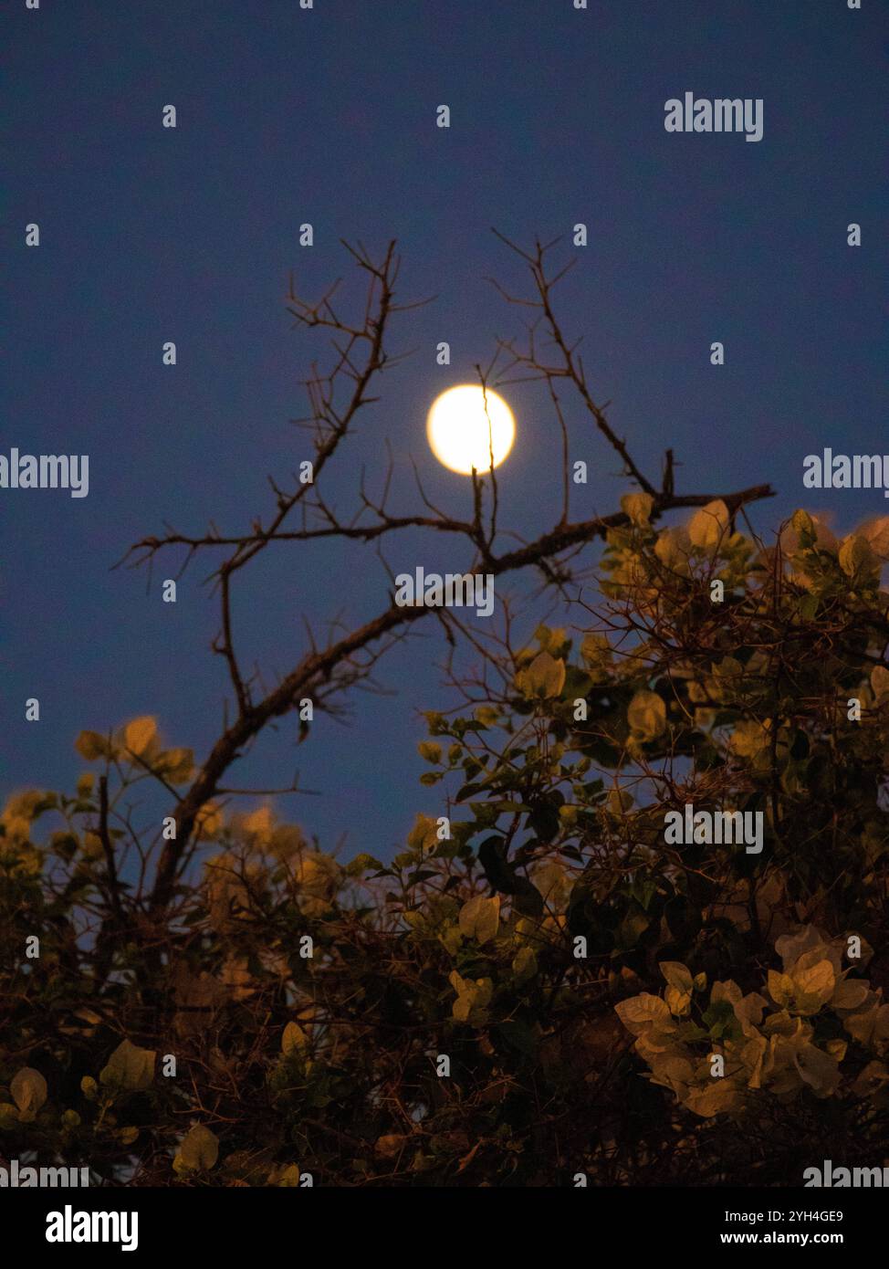 Moonrise night nighttime hi-res stock photography and images - Alamy