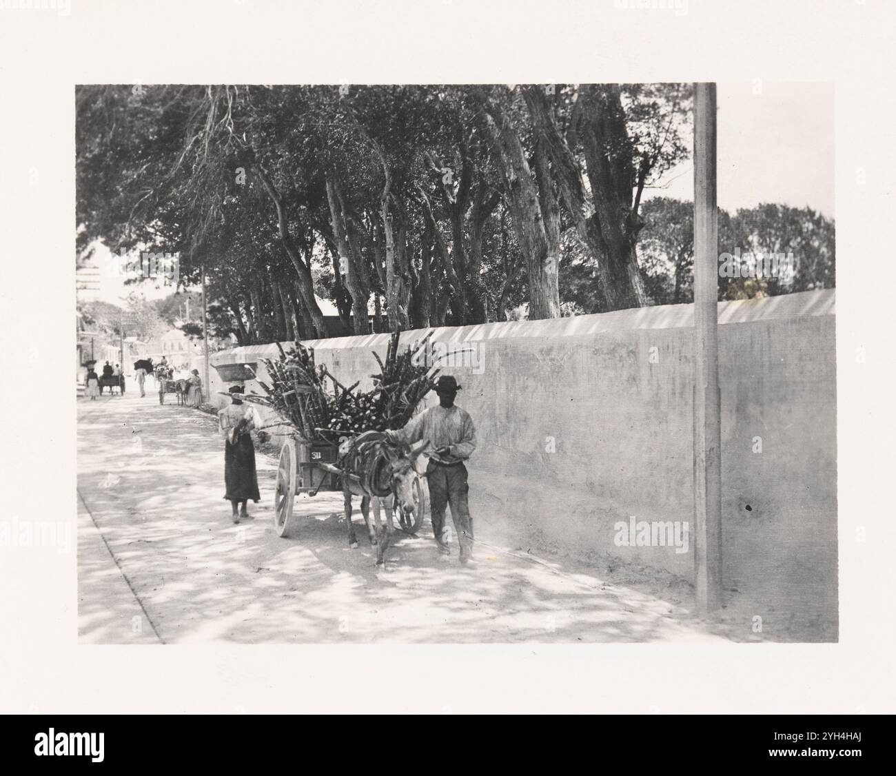 Donkey cart barbados hi-res stock photography and images - Alamy