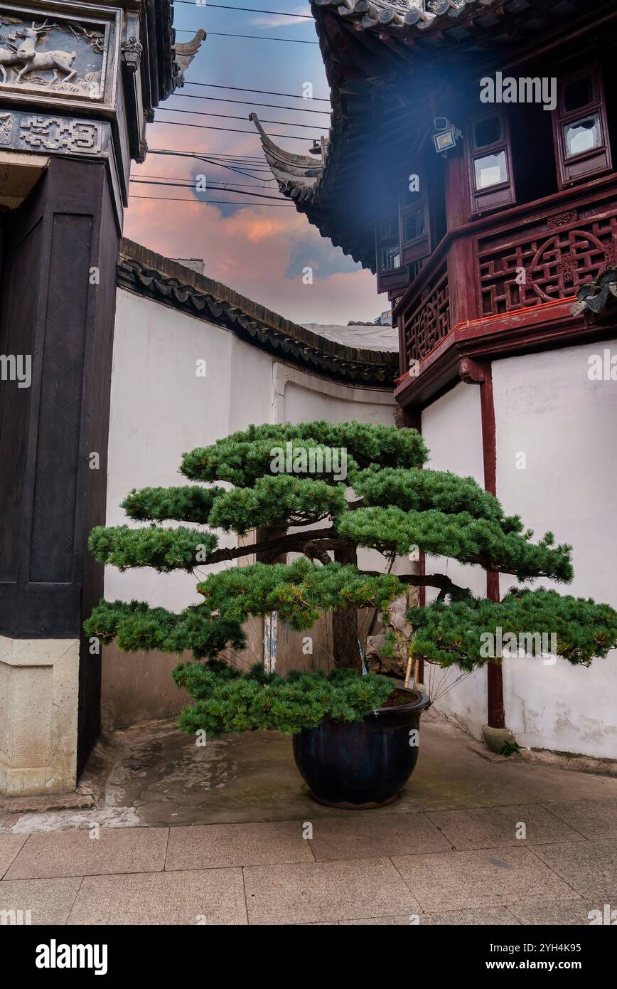 Artistic blend of traditional design elements hi-res stock photography ...