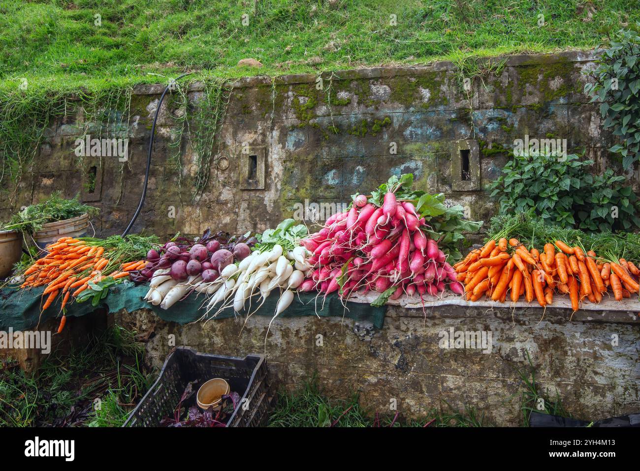 Fresh vegetables by the roadside. City: Ooty, Tamil Nadu, India. Date ...