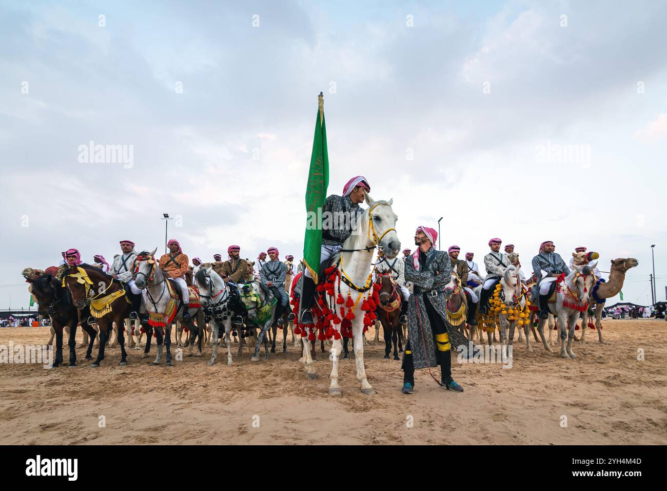 Saudi Arabian camel riders with their camels participate in a ...