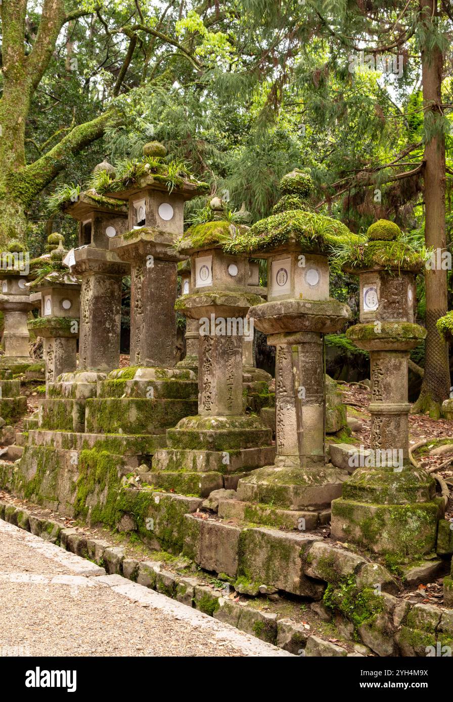 Stone lanterns at kasuga shrine hi-res stock photography and images - Alamy