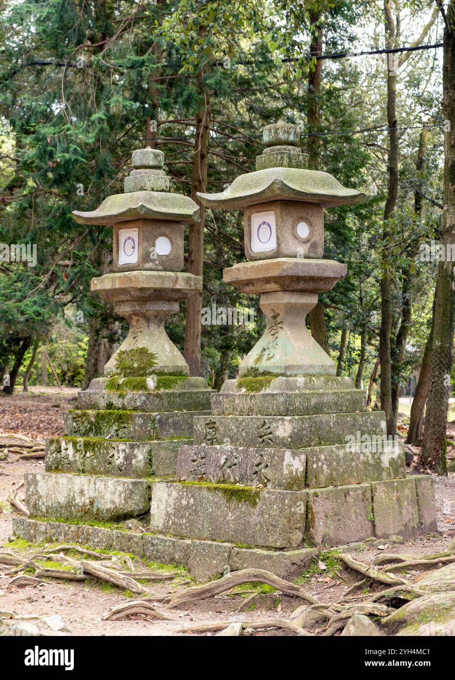 Stone lanterns, Kasuga-taisha shrine, Nara, Japan Stock Photo - Alamy