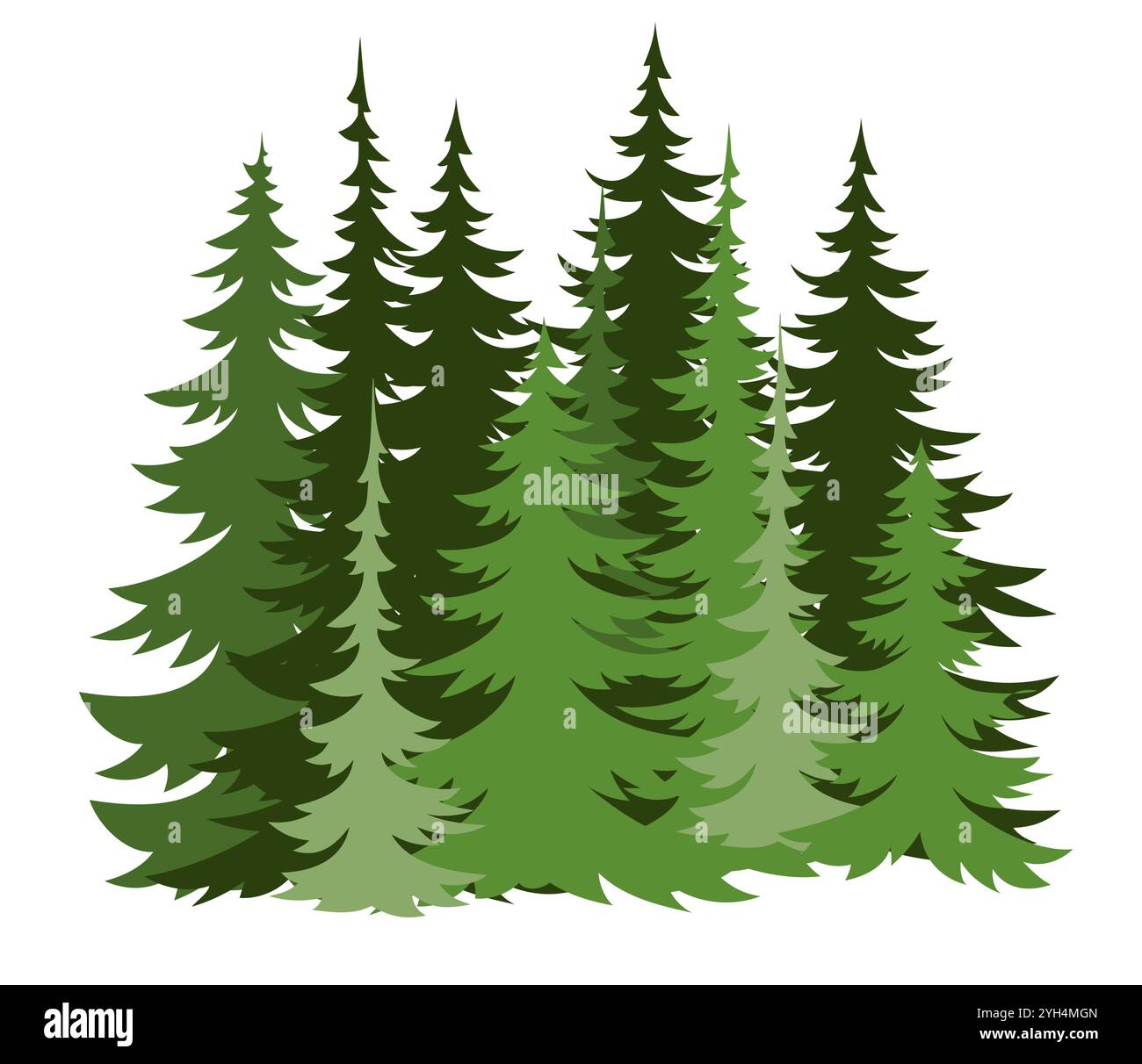 Forest fir trees silhouette. Coniferous spruce horizontal background ...