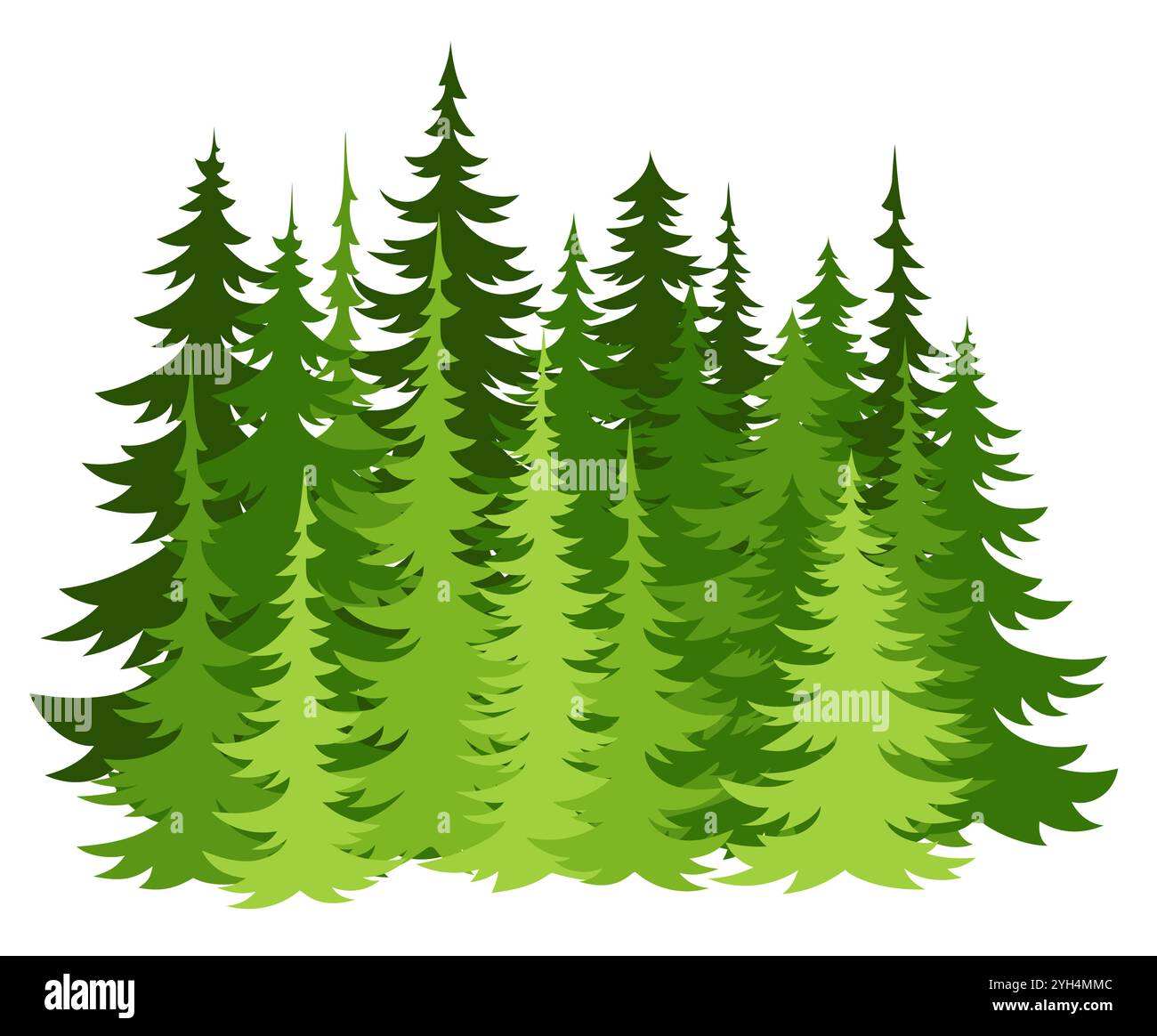Forest fir trees silhouette. Coniferous spruce horizontal background ...