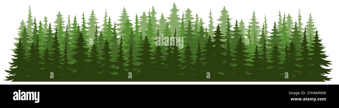 Forest fir trees silhouette. Coniferous spruce horizontal background ...