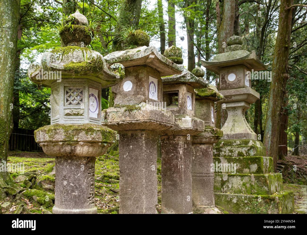 Stone lanterns, Kasuga-taisha shrine, Nara, Japan Stock Photo - Alamy