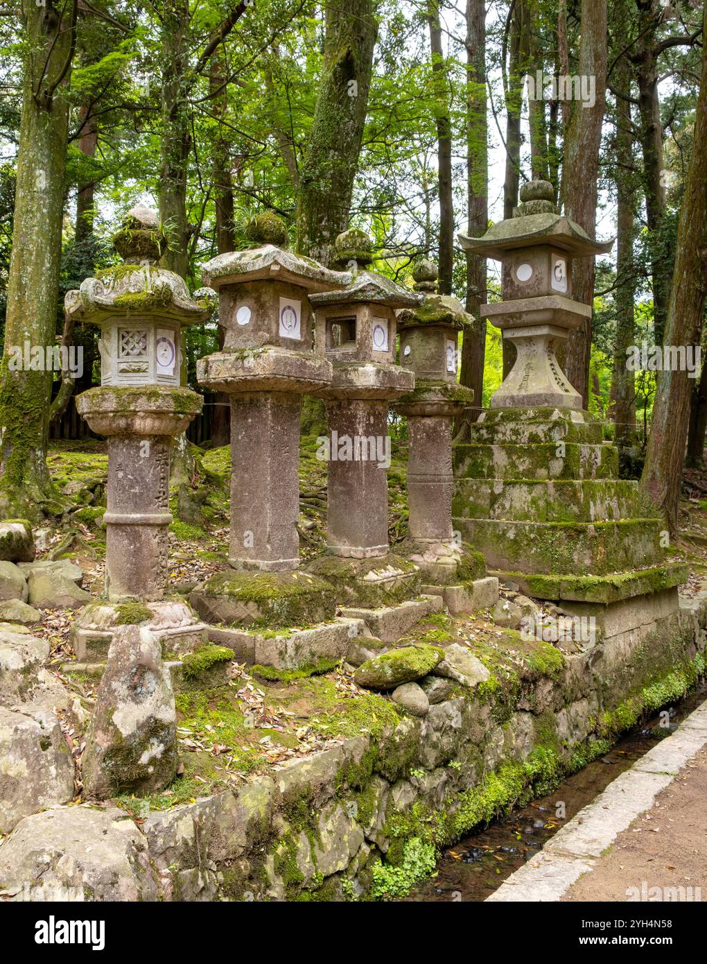 Stone lanterns, Kasuga-taisha shrine, Nara, Japan Stock Photo - Alamy