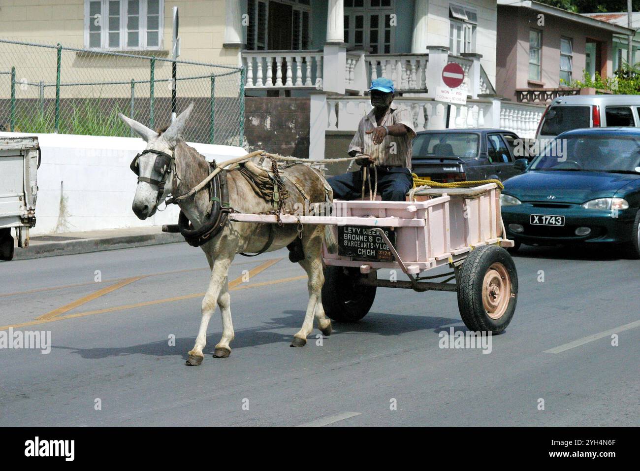 Man on donkey cart hi-res stock photography and images - Alamy