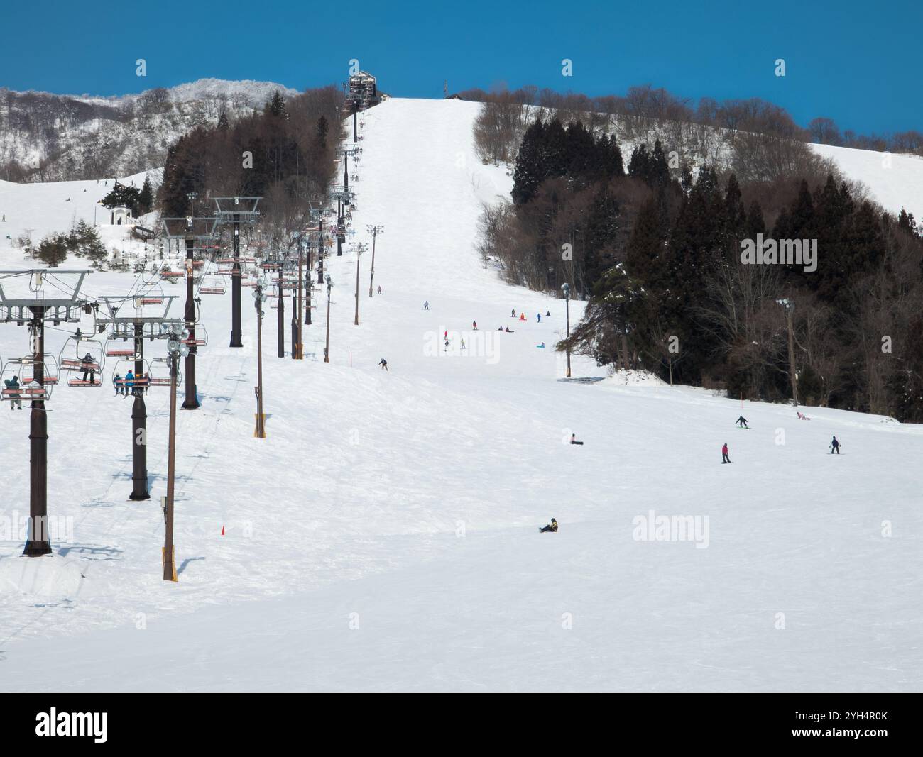 Skiers and snowboarders on the slopes of Togari Onsen resort in Nagano ...